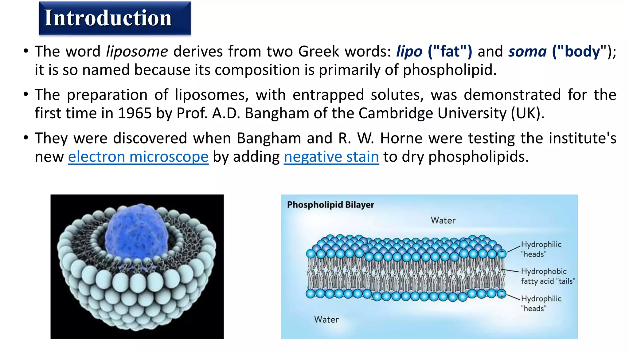 Liposomes | PPTX | Physics | Science