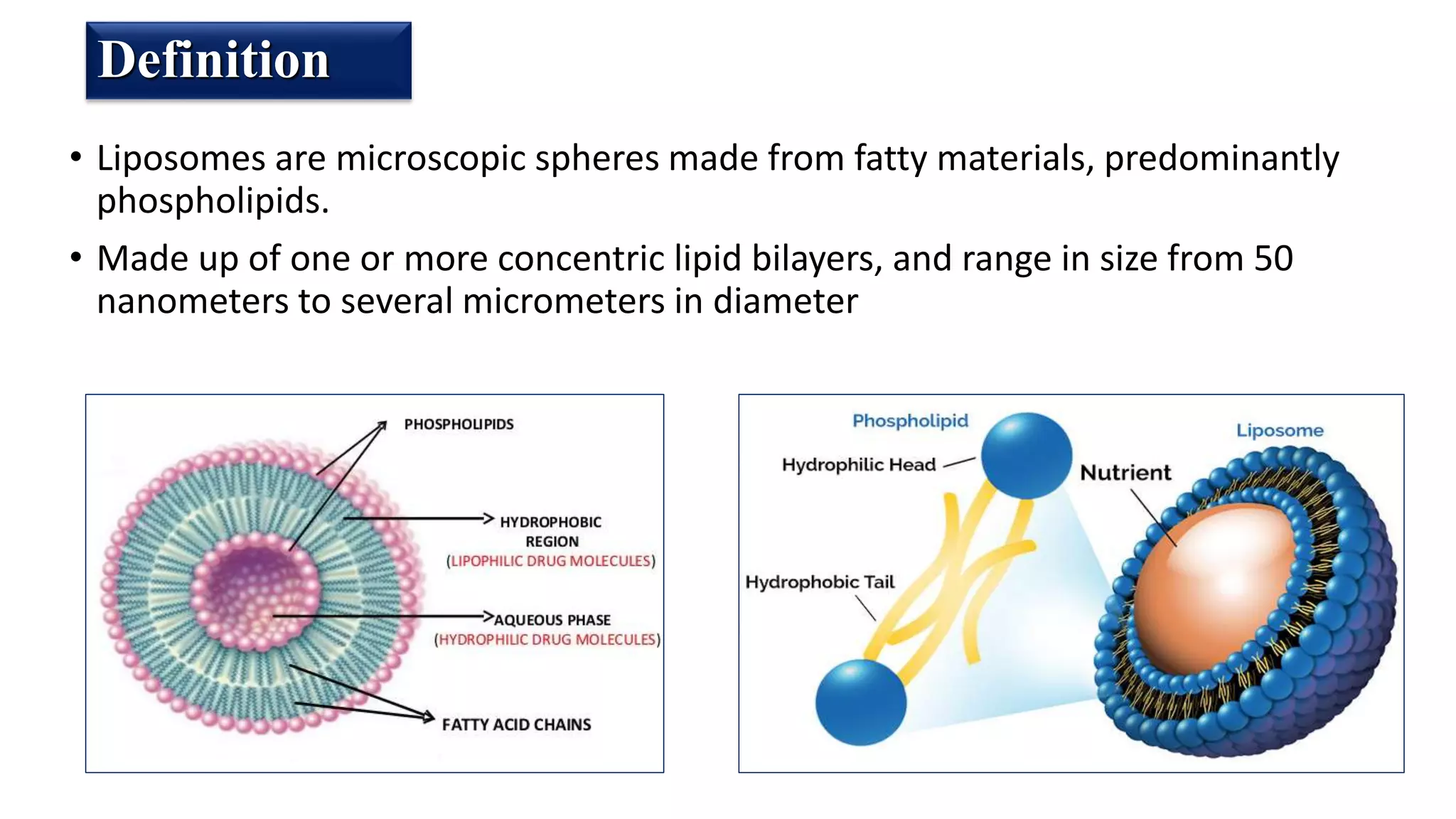 Liposomes | PPTX