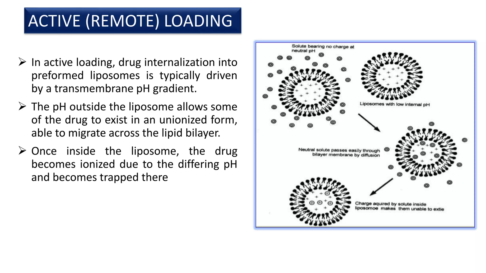 Liposomes | PPTX