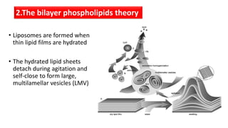 Liposomes | PPTX