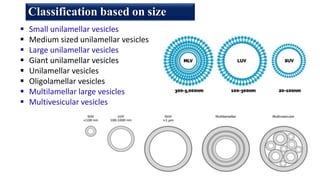Liposomes | PPTX