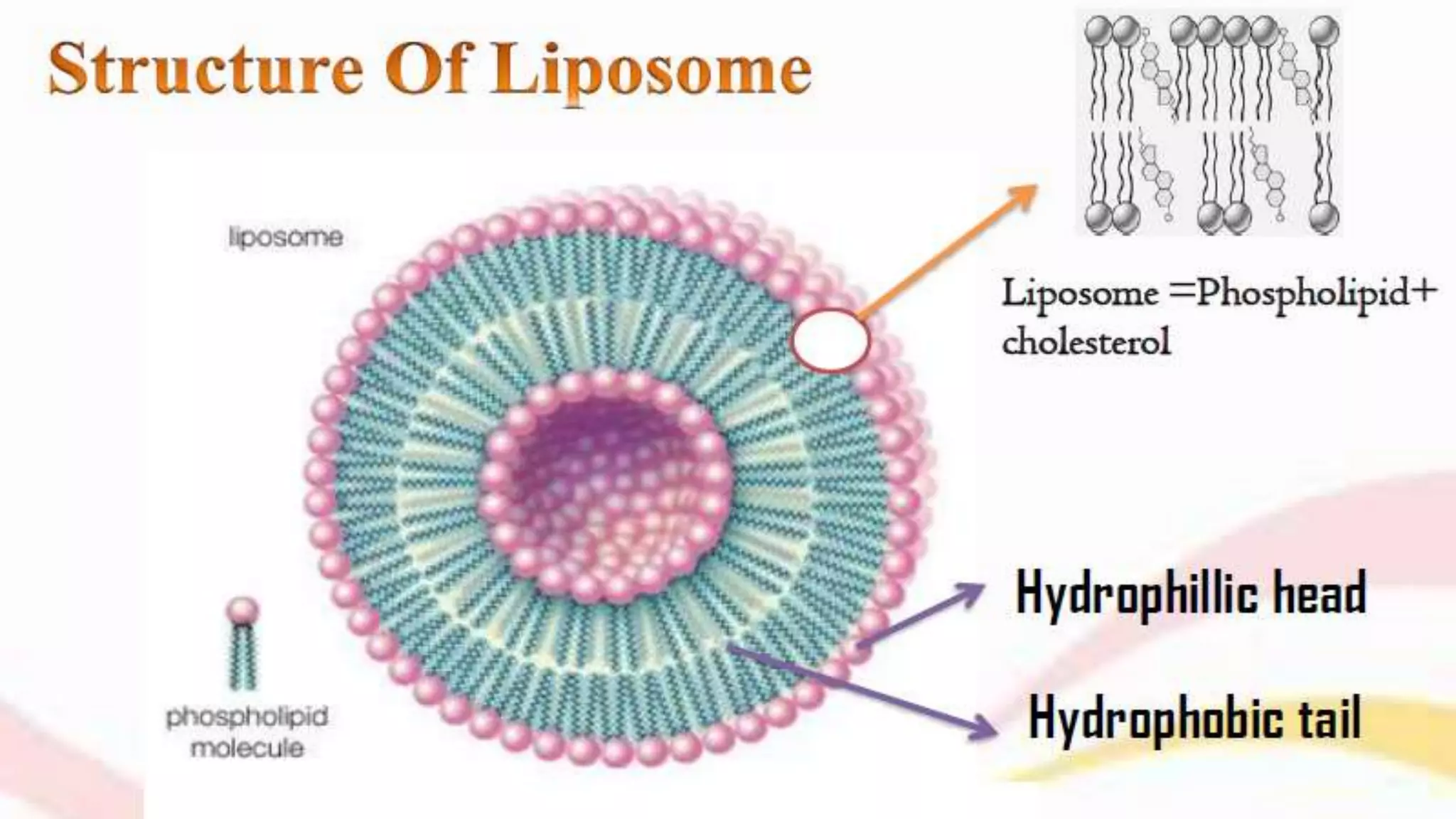 Liposomes- overview | PPTX