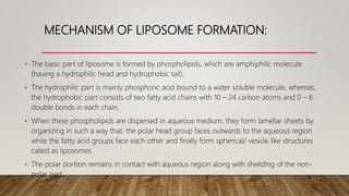 Liposomes- overview | PPTX