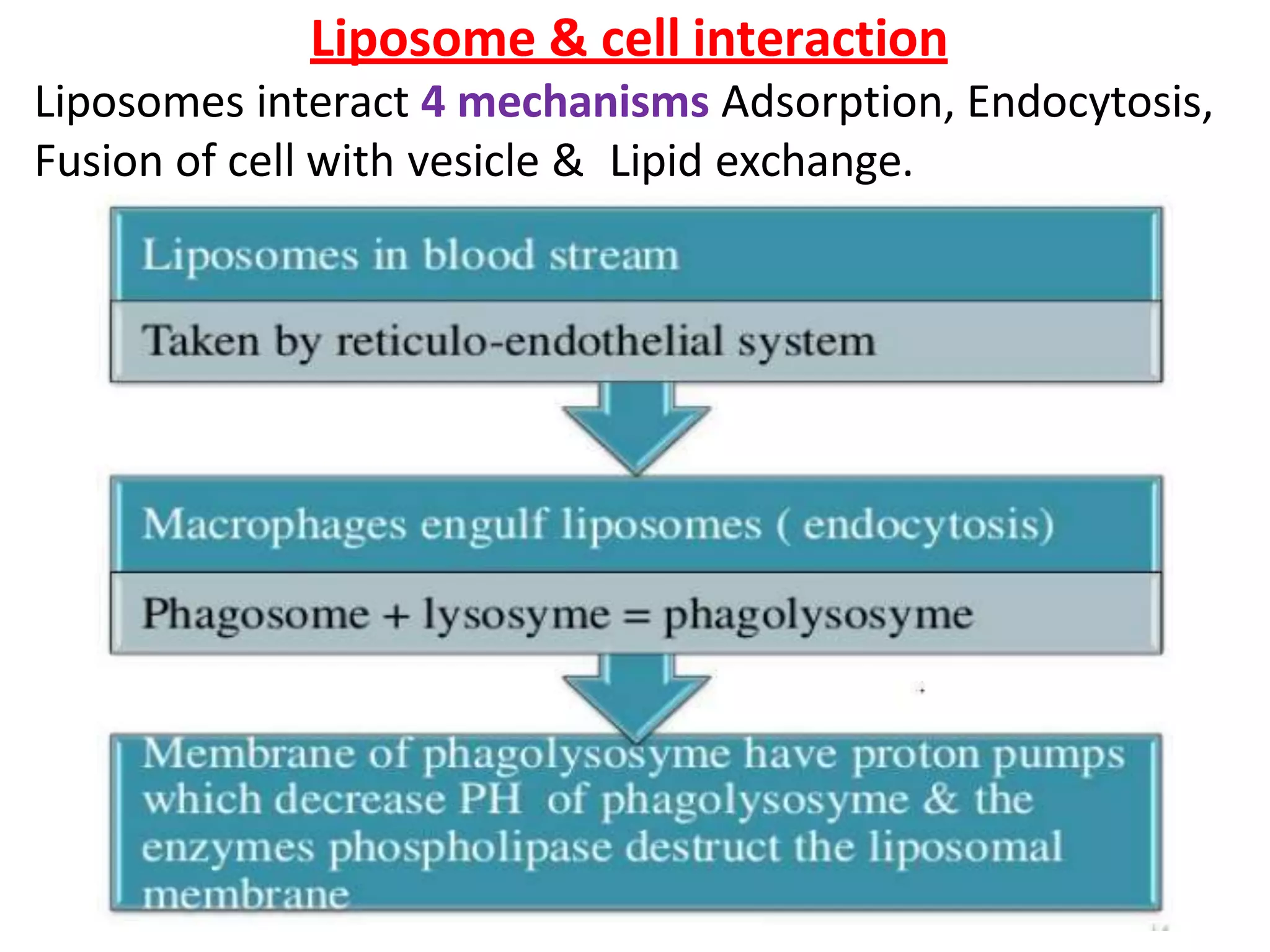 LIPOSOMES USED AS AN DRUG DELIVERY SYSTEMS | PPTX