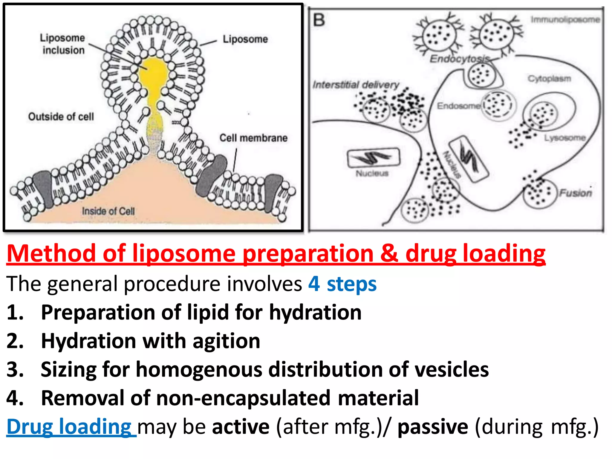 LIPOSOMES USED AS AN DRUG DELIVERY SYSTEMS | PPTX