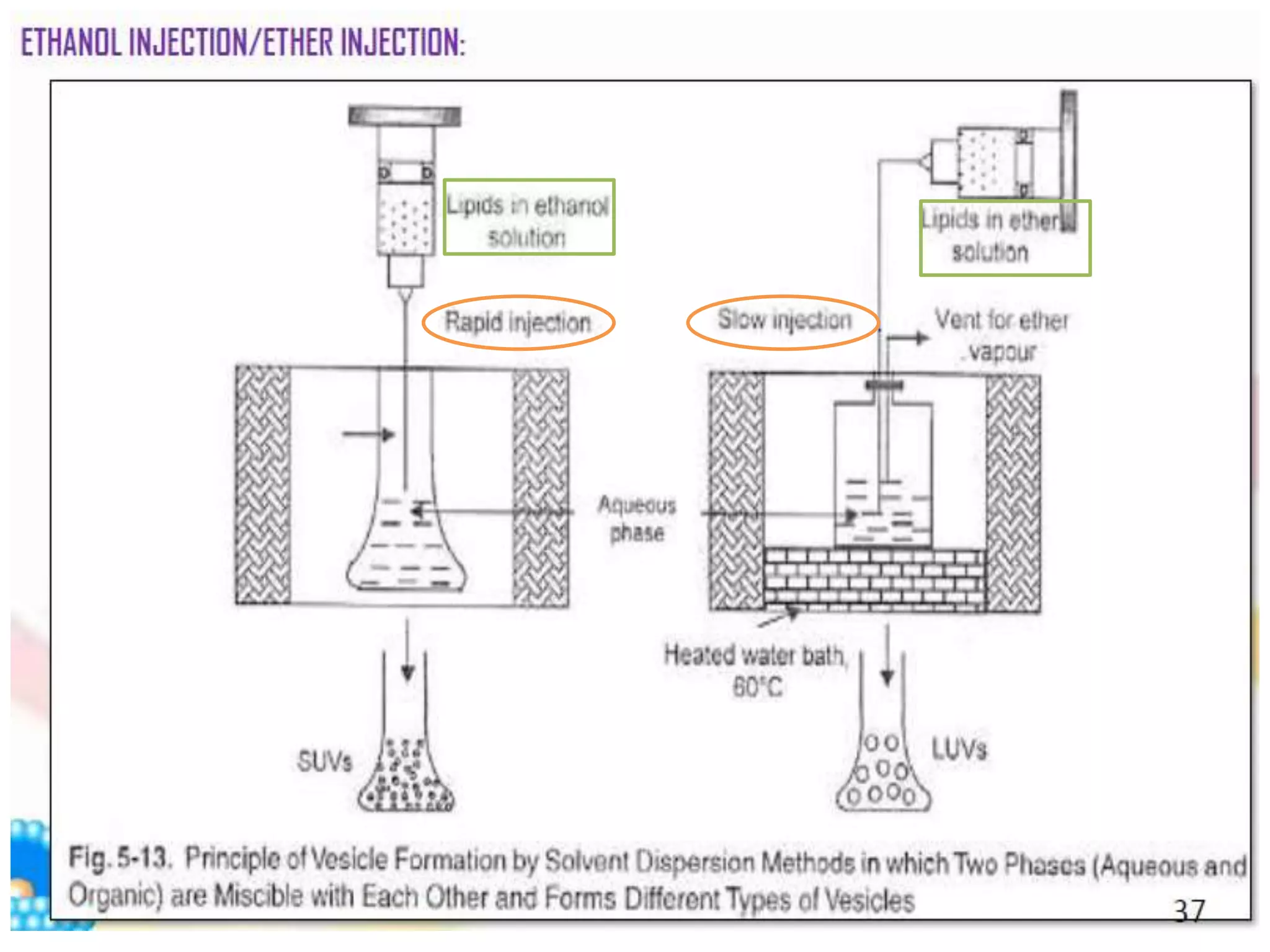 Liposomes | PPTX