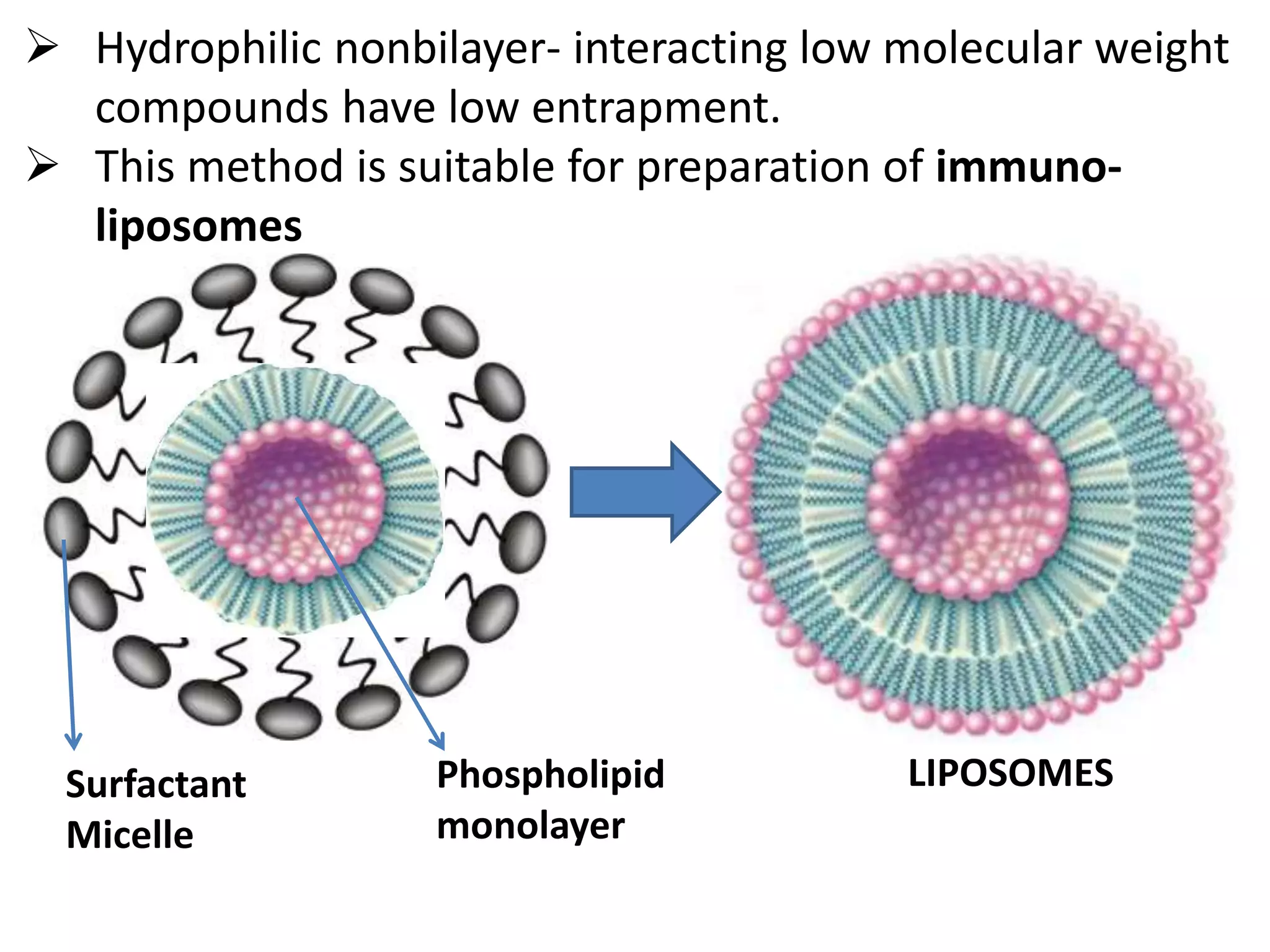 Liposomes | PPTX