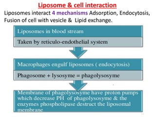 Liposomes | PPTX