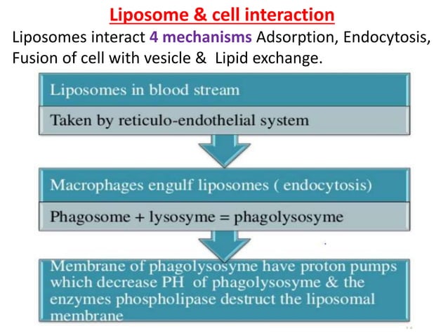 Liposomes | PPTX