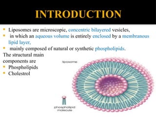 liposomes-190227201925.pptx. liposome and its classification | PPTX