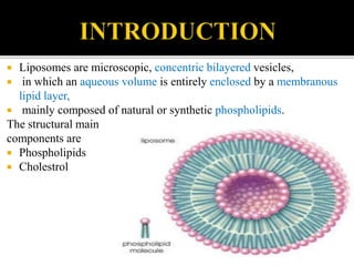 Liposomes | PPTX