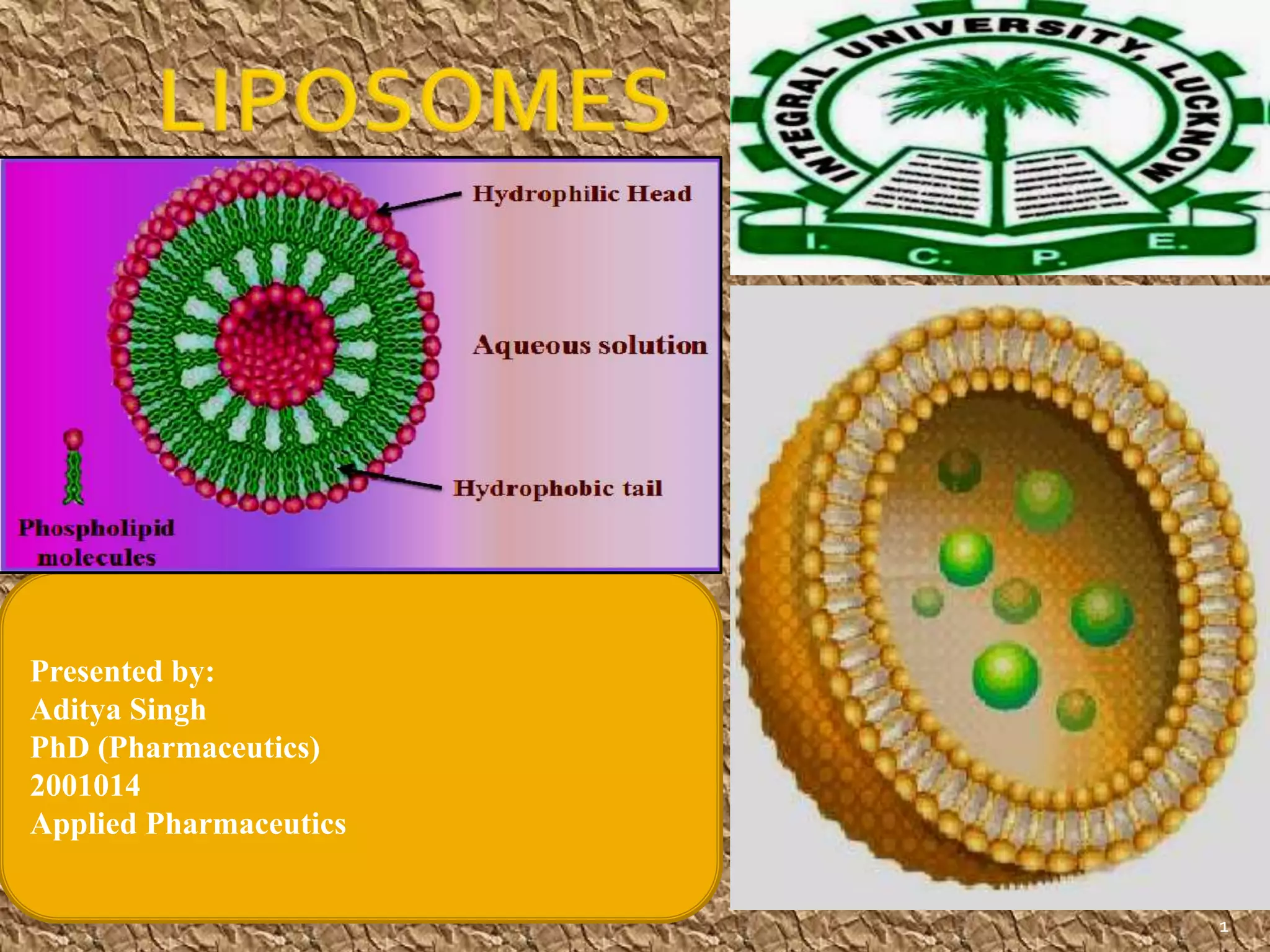 Liposomes | PPTX