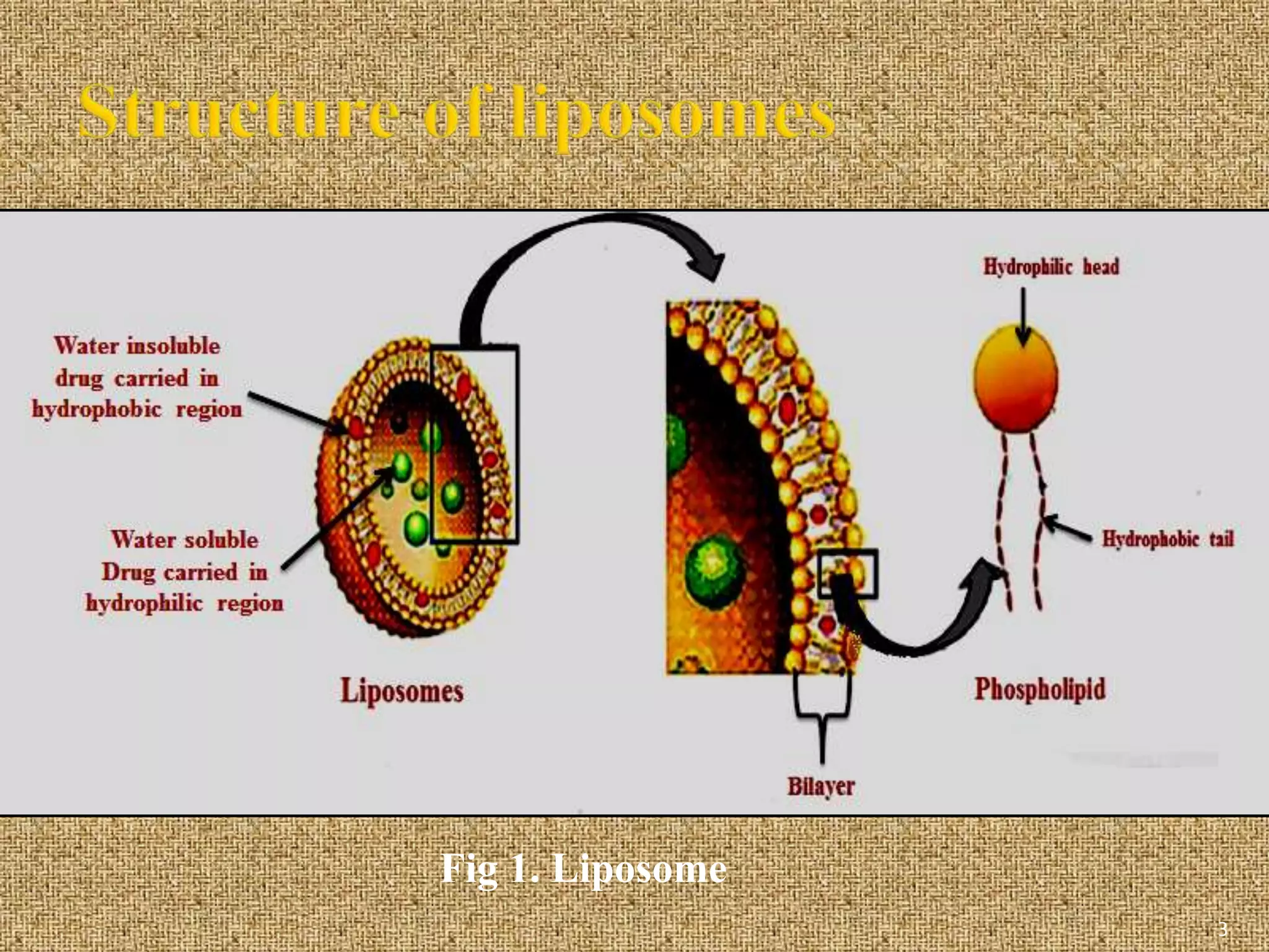 Liposomes | PPTX