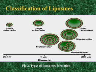 Liposomes | PPT