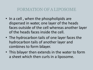 Liposomes | PPTX