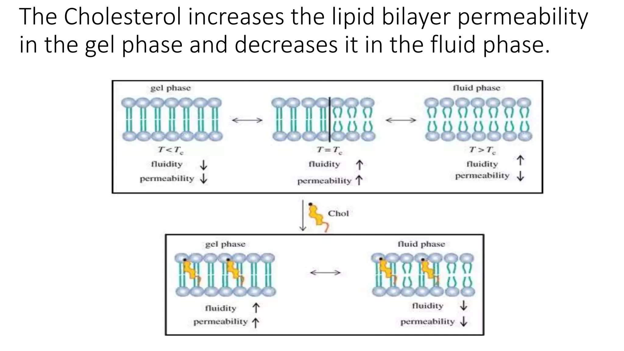 liposomes.pptx