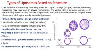 liposomes.pptx | Chemistry | Science