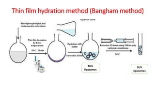 liposomes.pptx | Chemistry | Science