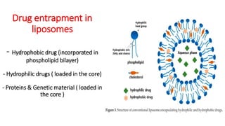 liposomes.pptx | Chemistry | Science
