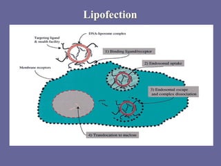 Liposomes.ppt
