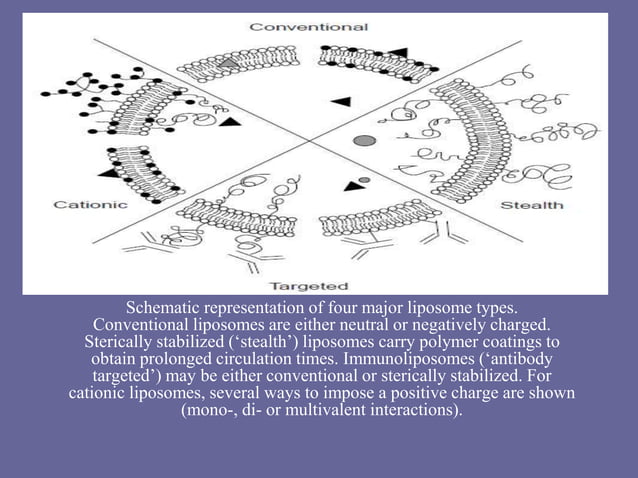 Liposomes.ppt | Chemistry | Science