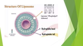 LIPOSOMES.pptx