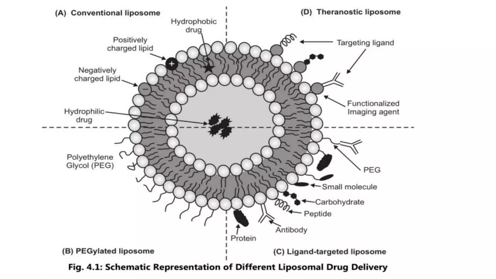 LIPOSOMES@.pptx