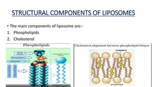 LIPOSOMES@.pptx