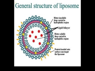 liposomes.pptx