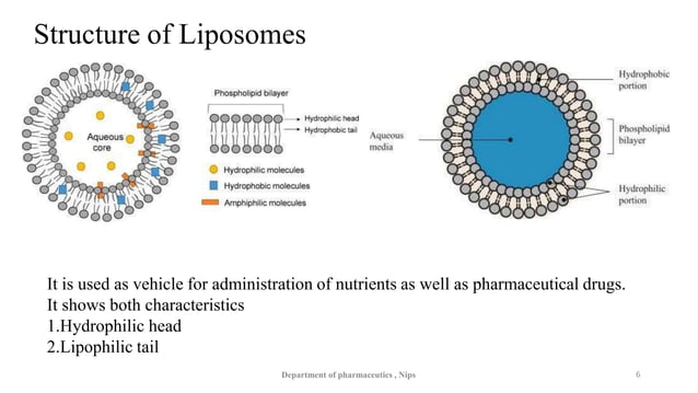 liposomes.pptx