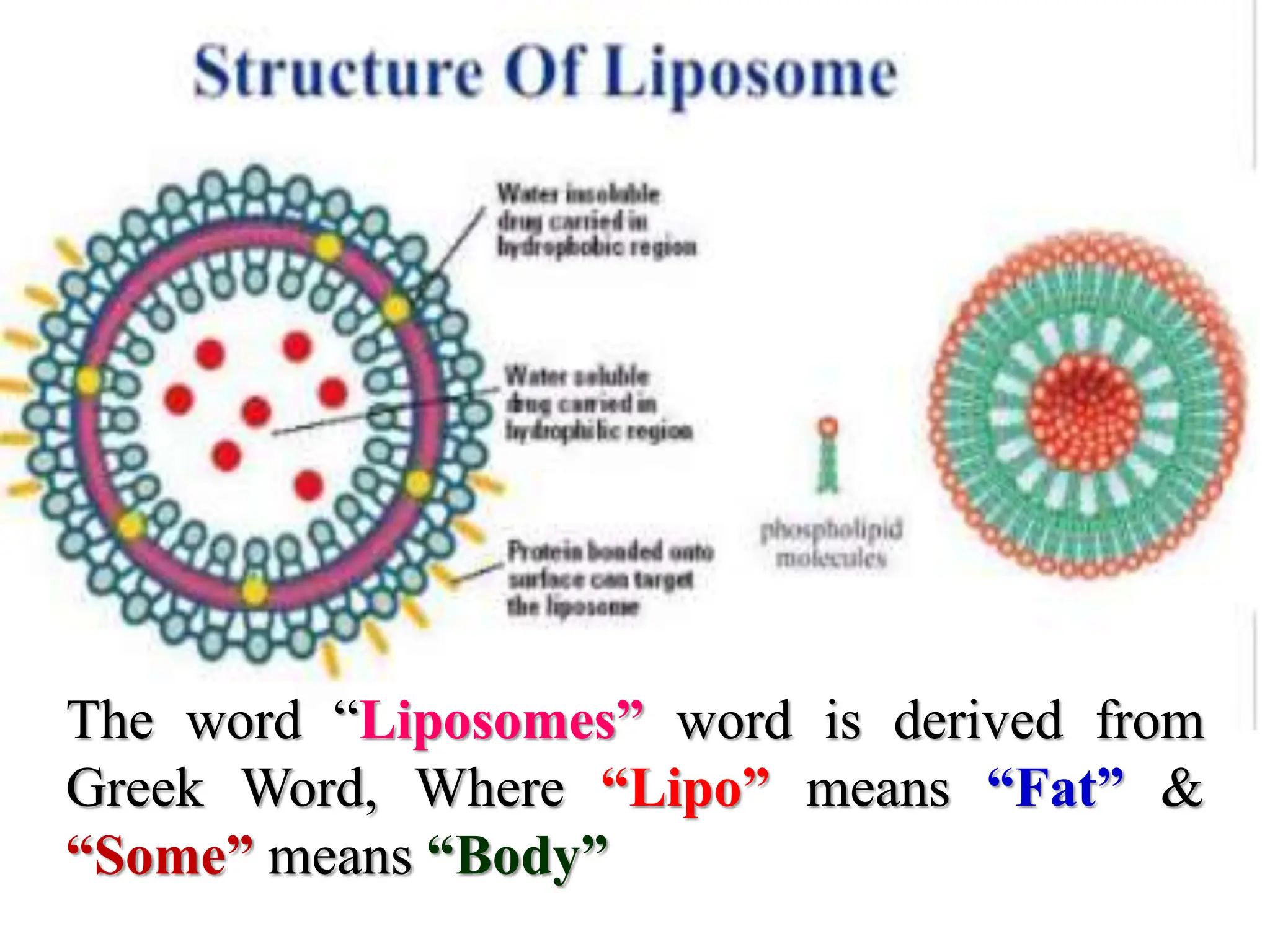 Liposomal Drug Delivery in pharmaceuticals | PPTX