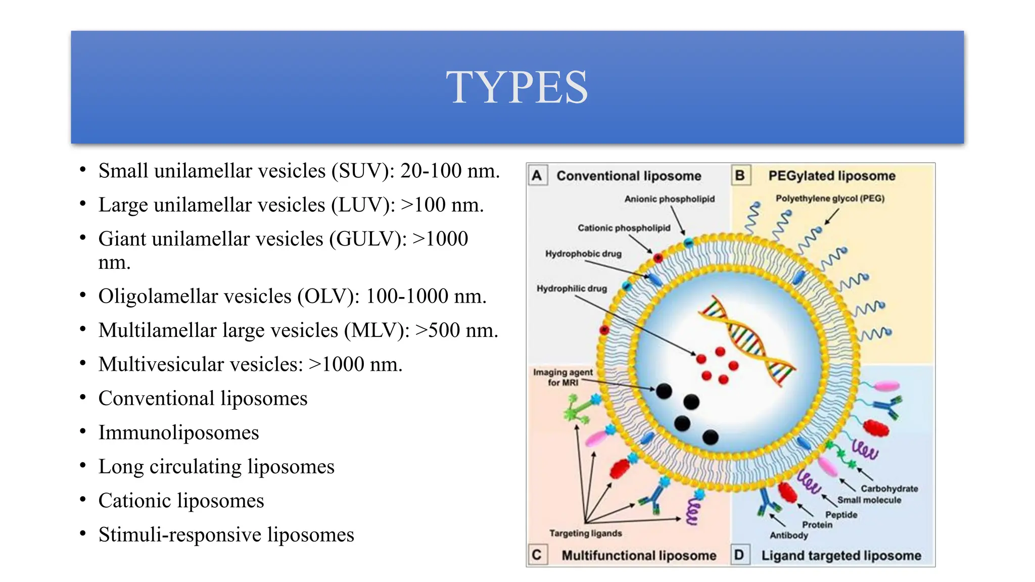 LIPOSOMES .pptx novel drug delivery system | PPT
