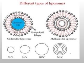 LIPOSOMES FOR DRUG DELIVERY IN PHARMACEUTICAL APPLICATIONS | PPTX