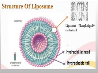 LIPOSOMES FOR DRUG DELIVERY IN PHARMACEUTICAL APPLICATIONS | PPTX