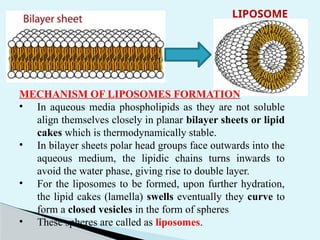 LIPOSOMAL DRUG DELIVERY SYSTEM FORMULATION AND PREPARATION | PPT