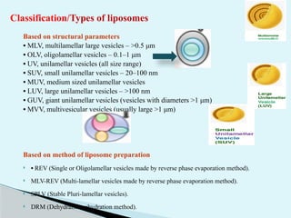 LIPOSOMAL DRUG DELIVERY SYSTEM FORMULATION AND PREPARATION | PPT