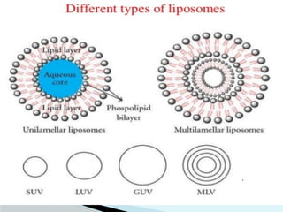 LIPOSOMAL DRUG DELIVERY SYSTEM FORMULATION AND PREPARATION | PPT