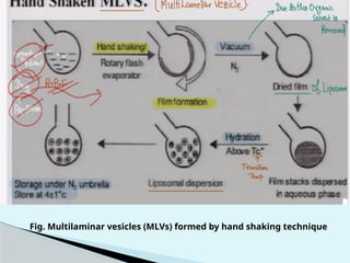 LIPOSOMAL DRUG DELIVERY SYSTEM FORMULATION AND PREPARATION | PPT