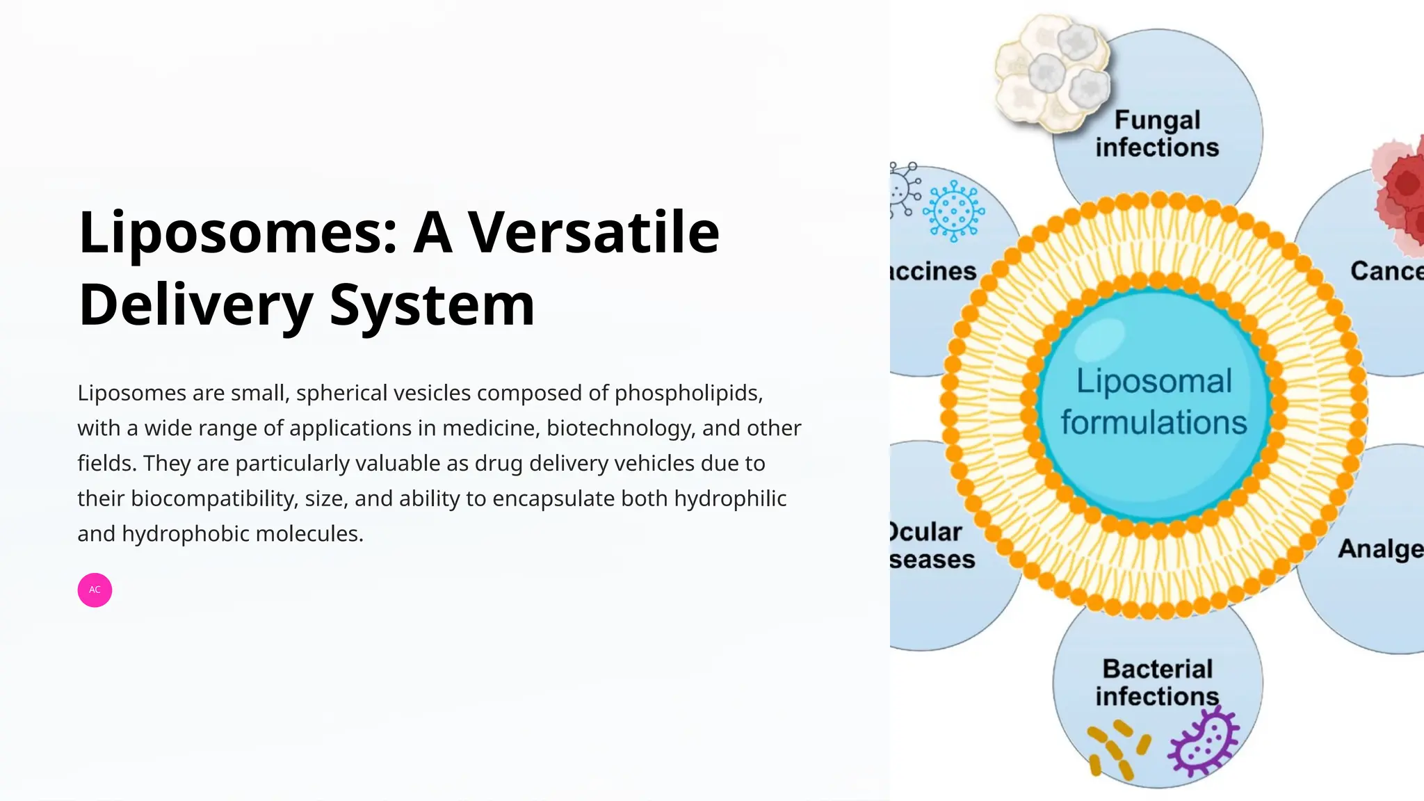 Liposomes-A-Versatile-Delivery-System.pptx