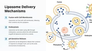 Liposomes-A-Versatile-Delivery-System.pptx