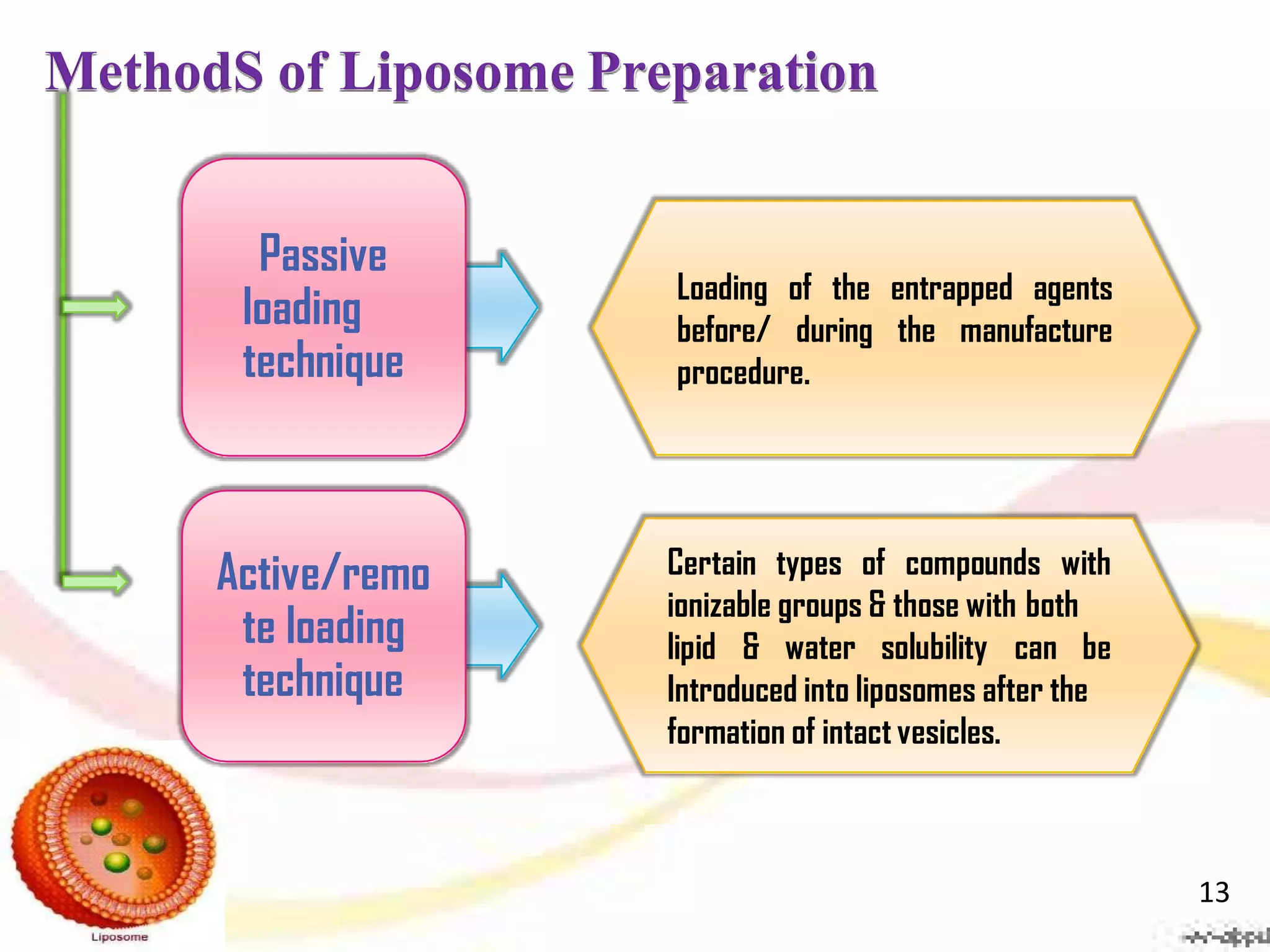 Liposomes converted | PDF