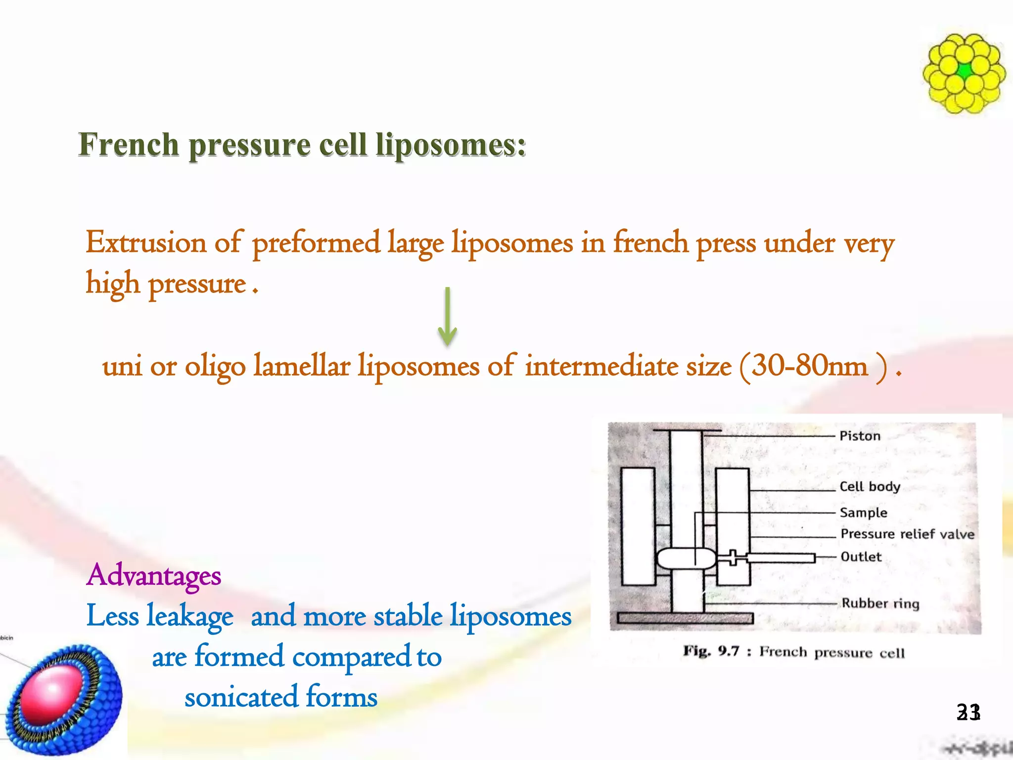 Liposomes converted | PDF
