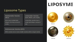 Liposomes-Tiny-Vesicles-with-Big-Potential.pptx