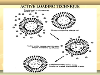 Liposomes | PPT