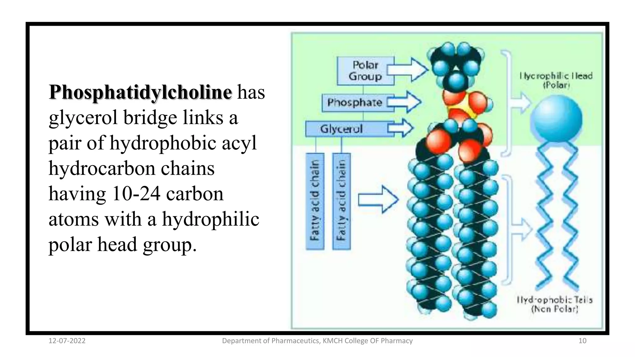 LIPOSOMES INTRODUCTION AND TYPES.pptx