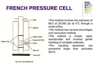 Liposomes & Niosomes.pptx
