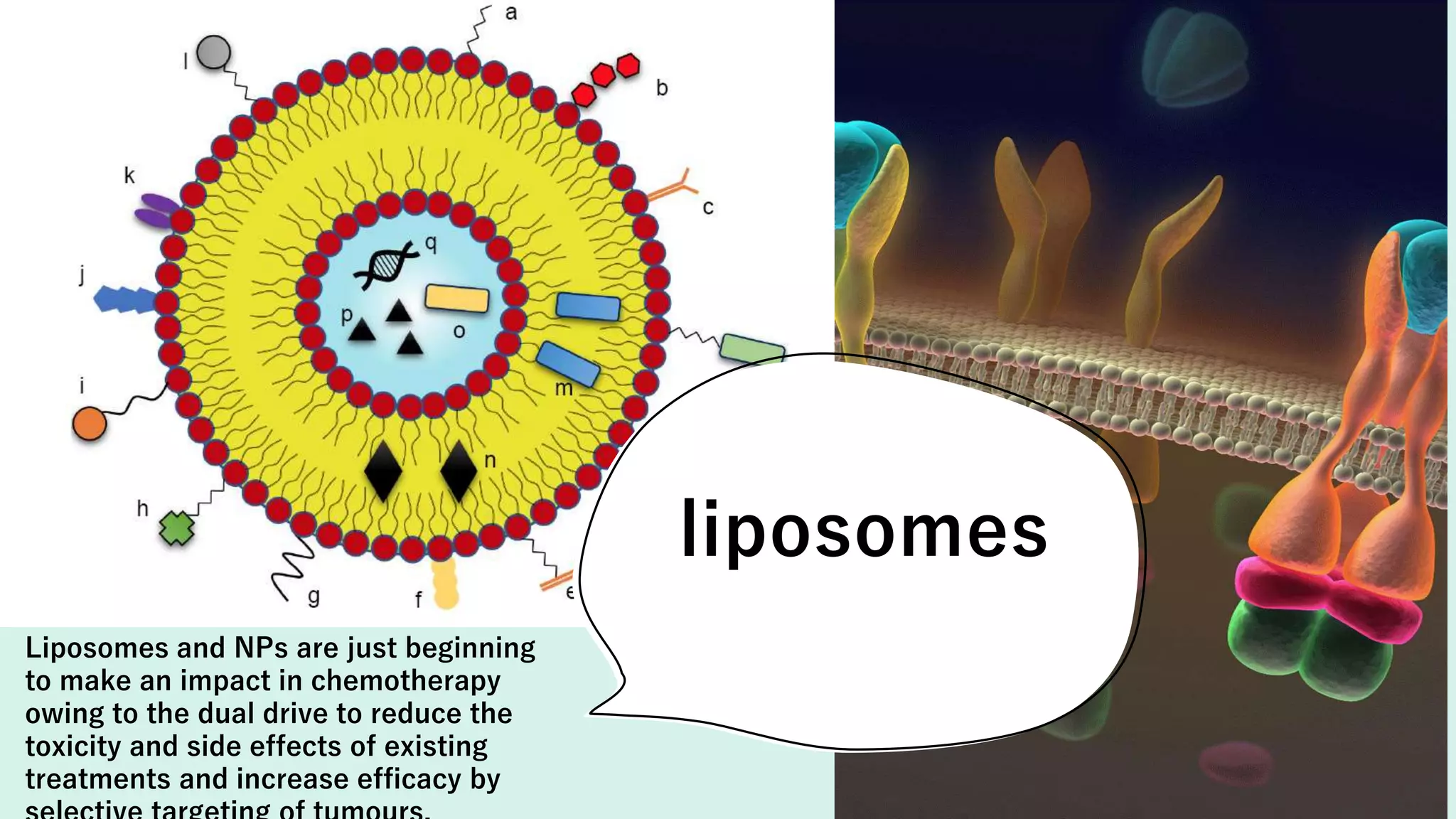 liposomes and nanoparticles drug delivery system | PPTX