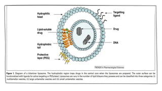 liposomes and nanoparticles drug delivery system | PPTX