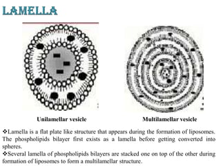 LIPOSOMES PPT.pdf- by Dr S Panda Prep & Characterization | PPT