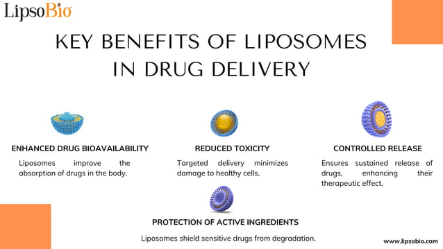 Liposomes:The Most Promising Drug Delivery Systems | PPT